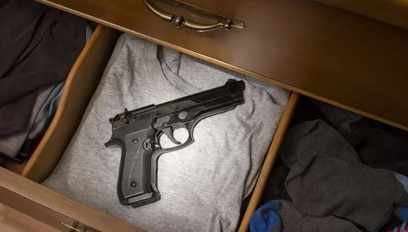 Gun Serial Number Check